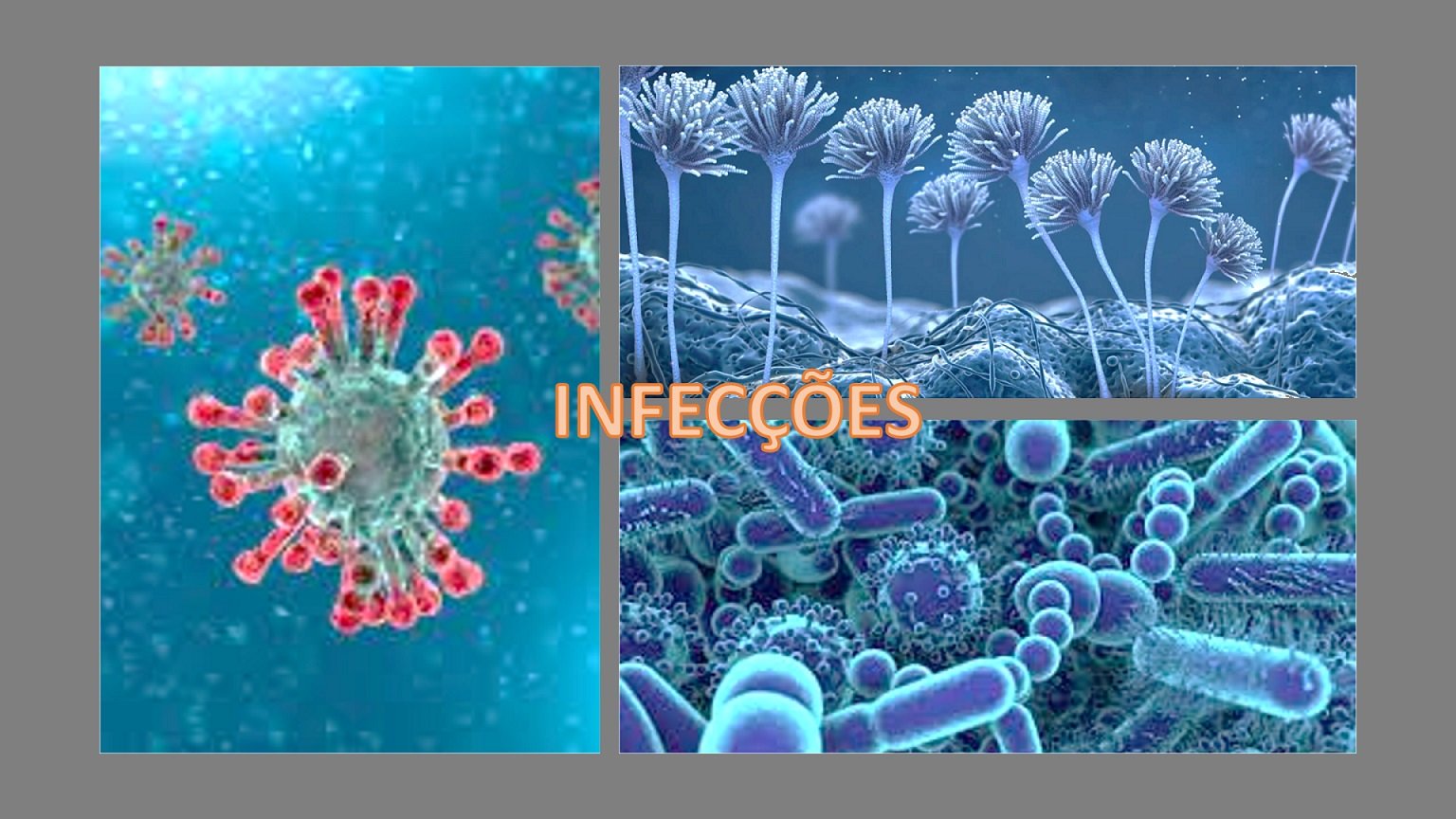 Infecções, inflamações e infestações - Cador